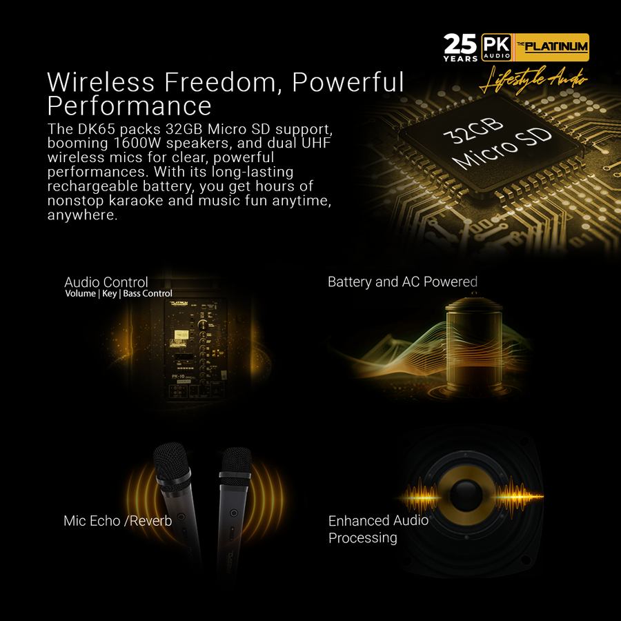 DK65 Duo Party Jukebox