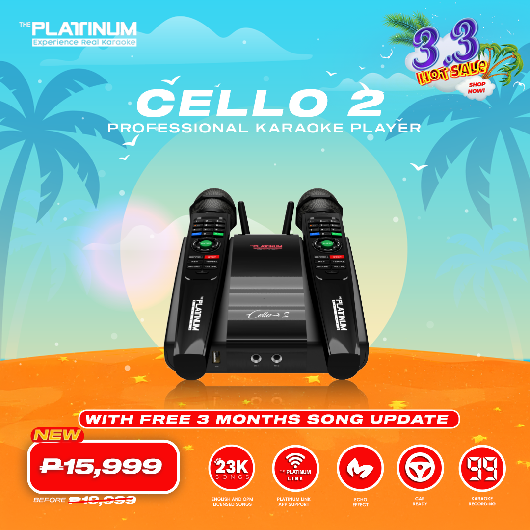 PK10 TROLLEY SPEAKER – Platinumkaraoke.com