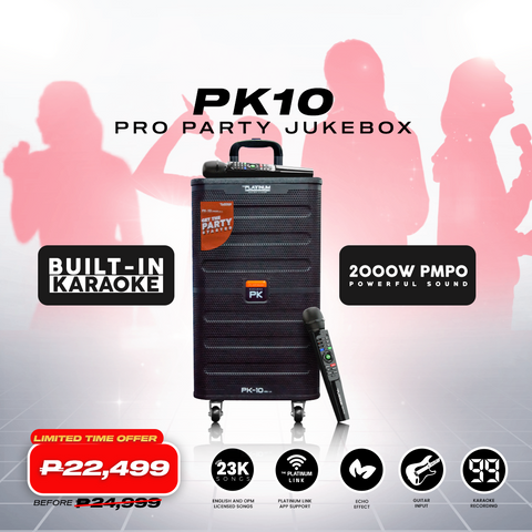 PK10 TROLLEY SPEAKER – Platinumkaraoke.com